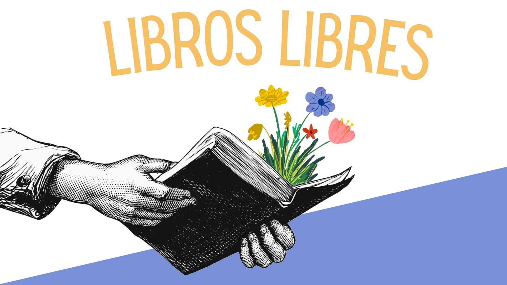 Iniciativa Libros Libres - Blog Comunitario de Villaverde